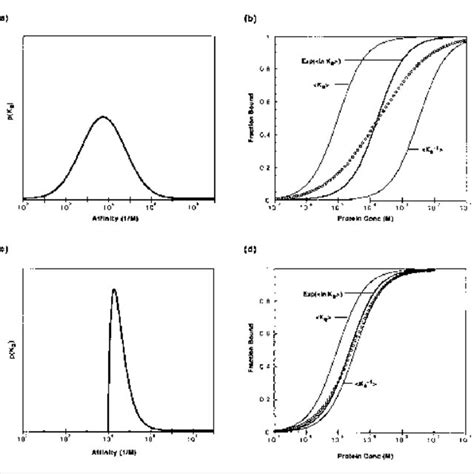 13 Affinity Distributions And Their Resulting Binding Curves A