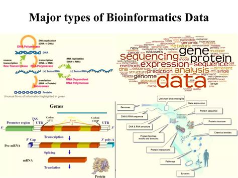 Lecture3biologicaldataforbioinformatics Pptx Biological Sciences