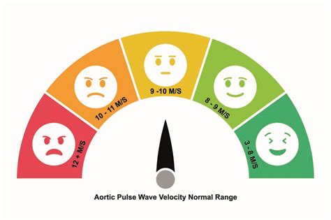What Is Pulse Wave Velocity Arteriograph Company