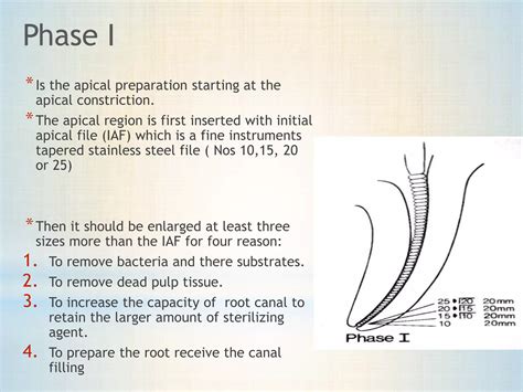 Root Canal Preparation Techniques Endodontic Treatment Pptx
