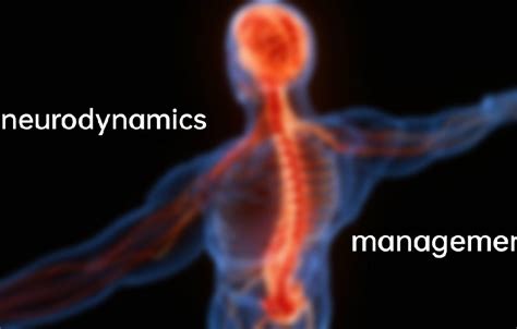 Neurodynamics System Archives Orthopaedic Manipulation