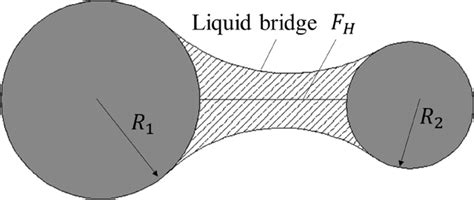Schematic Diagram Of Liquid Bridge Force Download Scientific Diagram