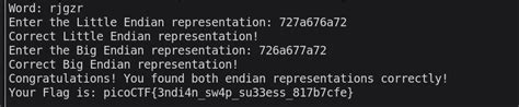 Endianness Writeup Pico Ctf Challenge Solved