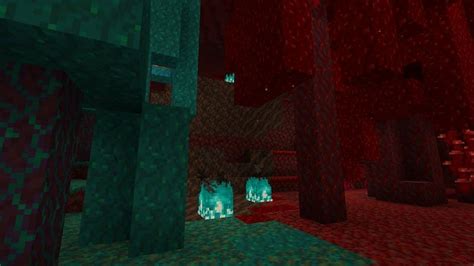 Warped Forest Vs Crimson Forest In Minecraft How Different Are The Two