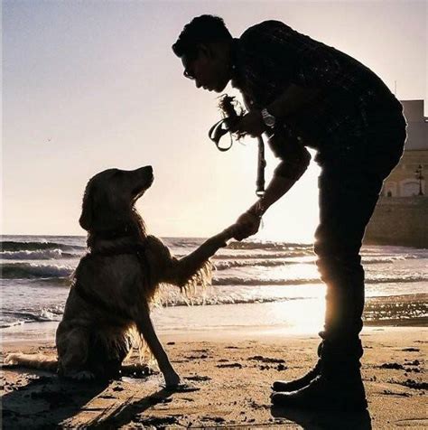 ძაღლების მოყვარულები