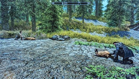 Help I Cant Figure Out Why Npcs And Even Followers Are Getting Stuck In This Animation R