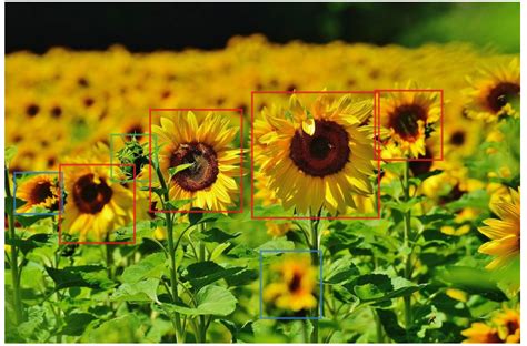 Objects Defects Detection DeepDetect