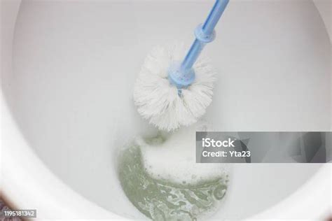 장갑에 여성의 손을 세척하고 브러시와 청소 에이전트와 흰색 화장실을 소독 가사 집안일에 대한 스톡 사진 및 기타 이미지 가사 집안일 도예 물 Istock