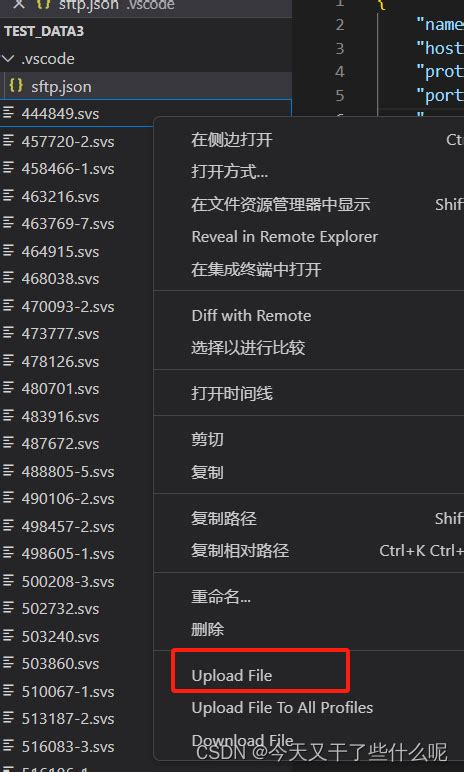 利用vscode工具从本地上传文件到服务器中vscode上传文件到服务器 Csdn博客