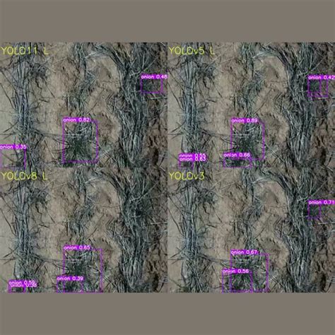 yolovx on linkedin weed detection yolovx