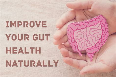 How to Improve Gut Health Naturally? - WFD