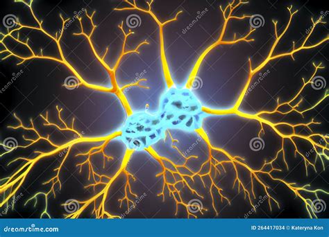 Neurons Brain Cells Neural Network Stock Illustration Illustration