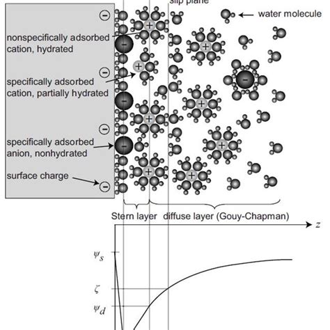 Schematic Representation Of Electrical Double Layer And The