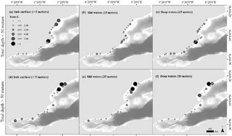 Microplastics Abundances Defined As The Total Number Of Items Per Liter