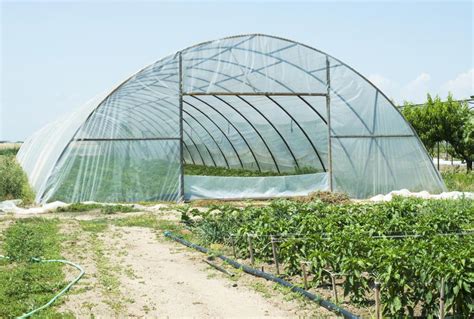 What Is Sub Irrigation With Pictures