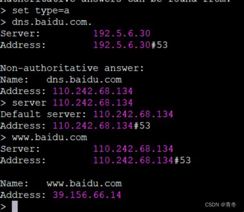 linux dns 解析与配置 nslookup使用 与 etc nf文件的配置 csdn博客