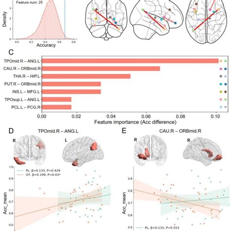 Result Of The Cpm Classifier In Resting State Fc Classification A