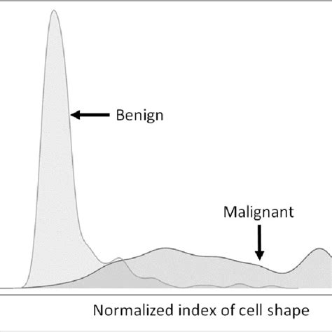Statistical Distribution Of A Geometrical Cell Feature Used For Binary Download Scientific