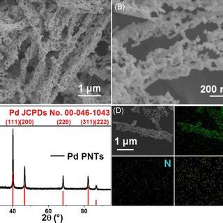 A B SEM Pattern C Xray Diffraction Pattern And D SEMEDX Download Scientific Diagram
