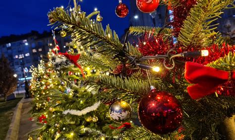 Столична община актьори и певци тържествено ще запалят светлините на коледната елха Фактор