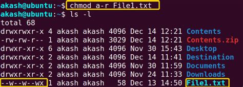 The Chmod Command In Linux 6 Practical Examples