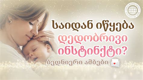 საიდან იწყება დედობრივი ინსტინქტი ღვთის ეკლესია Youtube