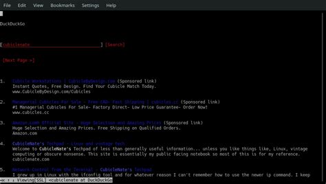 web browsing with w3m cubiclenate s techpad