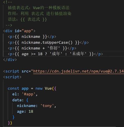 12vue插值表达式 技术栈