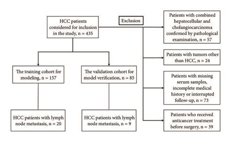 Patients Grouping And Exclusion Download Scientific Diagram
