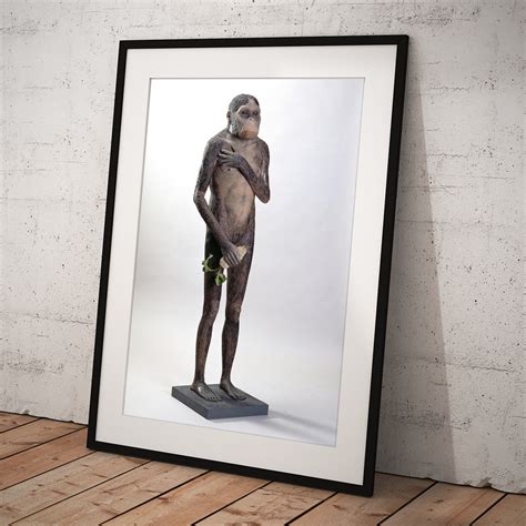 Female Australopithecus Africanus 1 Poster By Science Photo Library Science Photo Gallery
