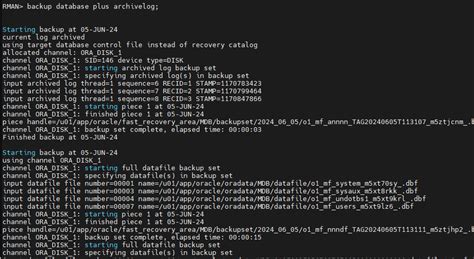 Point In Time Recovery Of Pdb Database Multitenant Datalinksvn