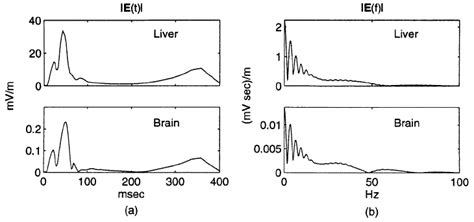Variations Of The Endogenous Electric Field In The Body At The Same Two