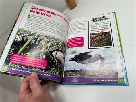 Descomponedores Clipart Tipos De Ecosistemas Biologia 3 Secundaria