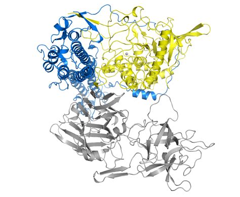 New Insights Into The Toxin Behind Tetanus Stockholm University