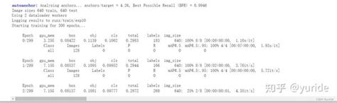 如何使用云端gpu训练yolov5（colab） 知乎