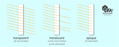 Opaque Objects Why Do The Transparent Objects In My D Model Appear