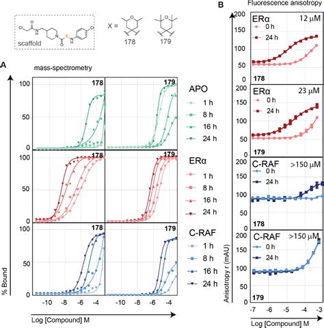 Figure 6 From Structure Based Optimization Of Covalent Small Molecule