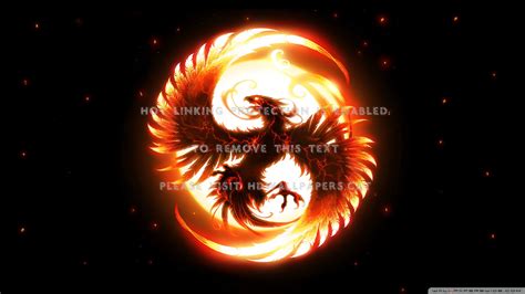 🔥 [20 ] Flamebird Wallpapers Wallpapersafari
