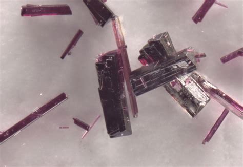 Metathesis Catalysts Catapower Inc