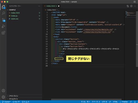 ミスを減らせるvscodeの拡張機能3選と設定項目2選 Eclairmedia