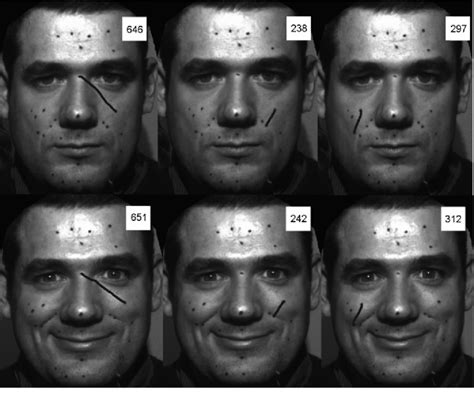 Figure 1 From 3 D Face Recognition With The Geodesic Polar