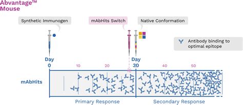 Mabhits Abvantage™ Hummingbird Bioscience