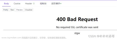 Esp32 客户端post请求（跳过证书验证） Toy模板网