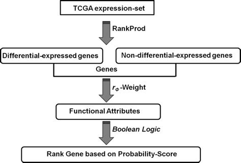 Ranking Genes In A Boolean Logic Framework Schematic Representation Of Download Scientific