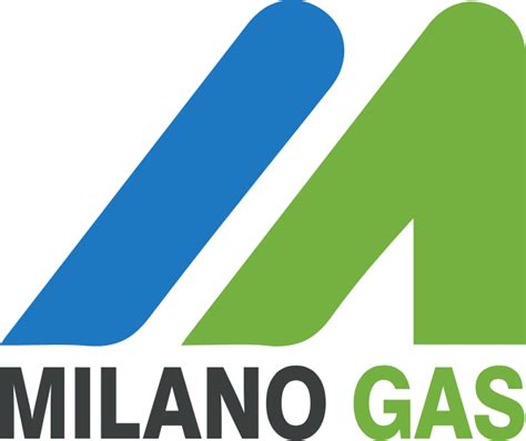 Cng Conversion Kit Products Milano Gas