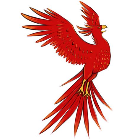 How To Draw A Phoenix Easy Drawing Art