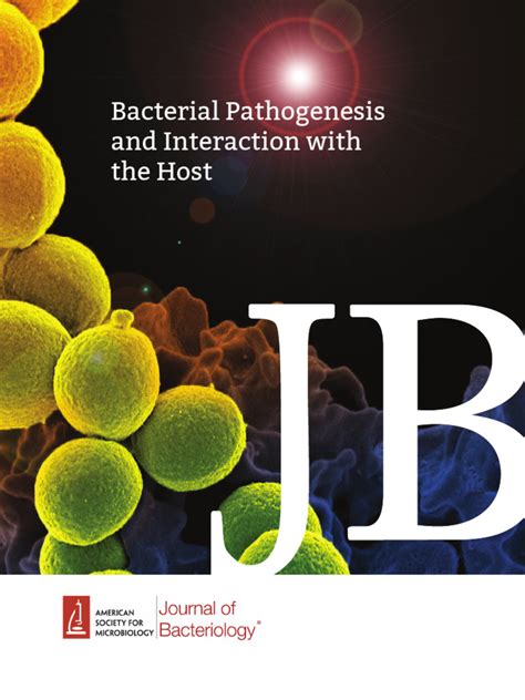 Bacterial Pathogenesis And Interaction With The Host Pdf Cell Signaling Gene