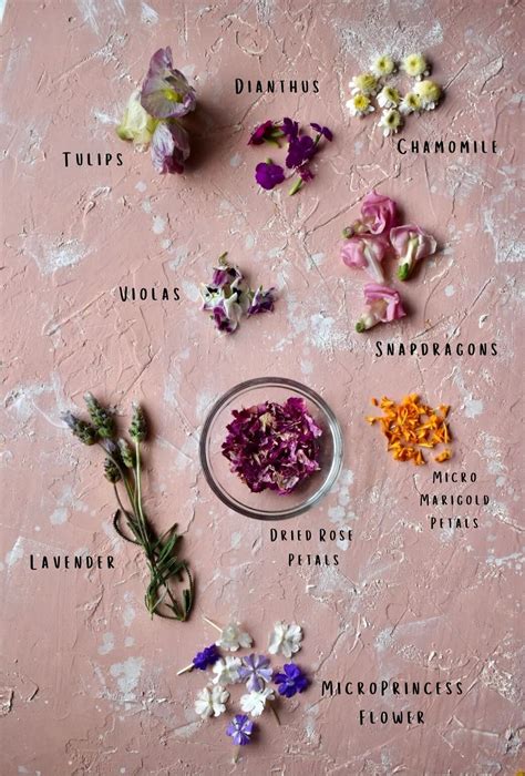 Incorporating Edible Flowers Into Urban Gardens Tips For Flavor And Fun