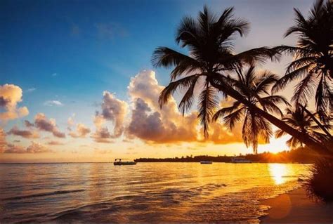 Especial Camaçari 262 Anos Belezas Naturais E Pontos Turísticos