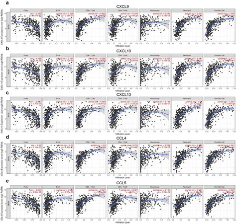 The Correlation Between Hub Genes And Immune Cell Infiltration Timer